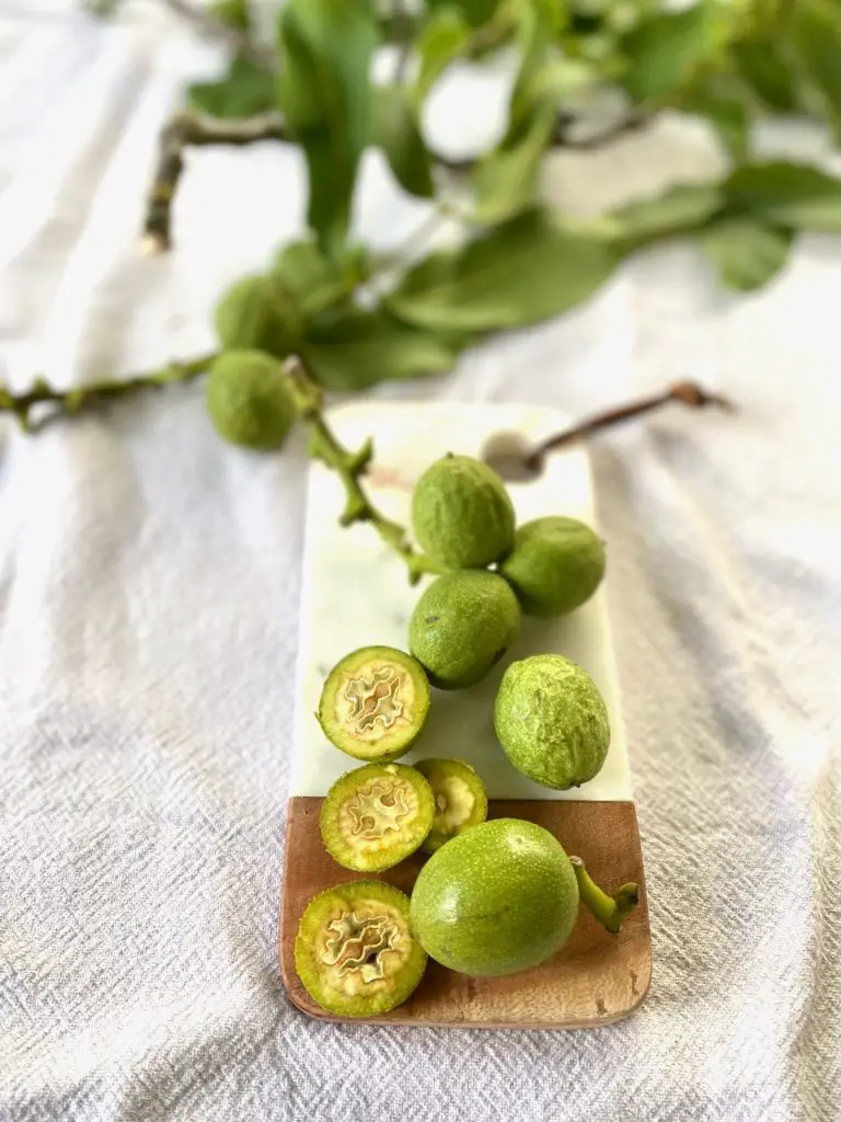 Morabaye Chagale Gerdoo - Green Walnut Preserves - مربای گردو - Labsalliebe