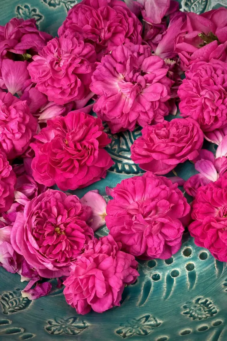 Morabayeh Gol - Persian rose petal Jam مربای گل سرخ - Labsalliebe