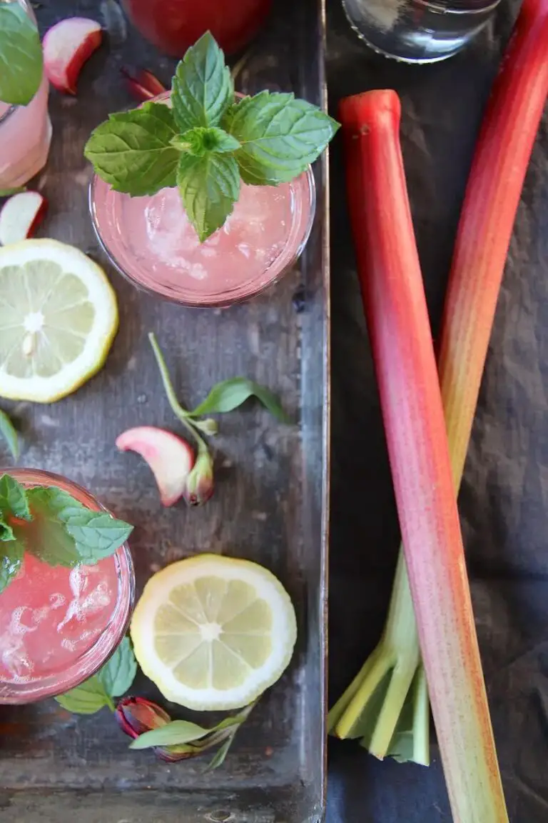 Sharbat-e Rivas - Persian Rhubarb Lemonade - Labsalliebe