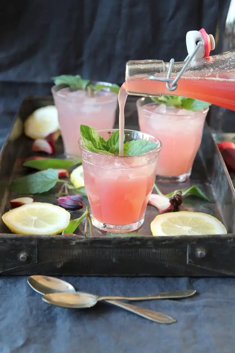 Sharbat-e Rivas - Persian Rhubarb Lemonade - Labsalliebe