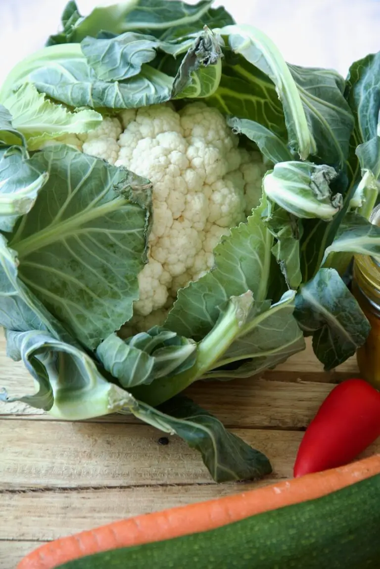 Piccalilli - English Mustard Pickle - Labsalliebe