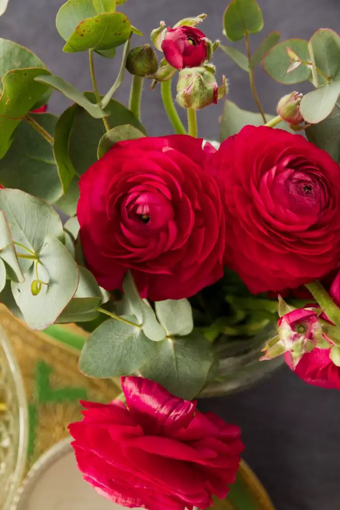 Toot - Colorful Persian Marzipan - Labsalliebe