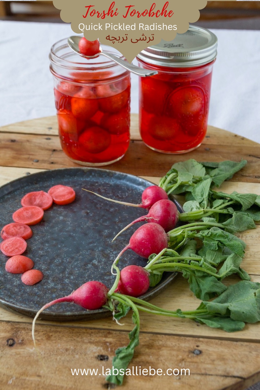 Torshi Torobche - Quick Pickled Radishes ترشی تربچه - Labsalliebe
