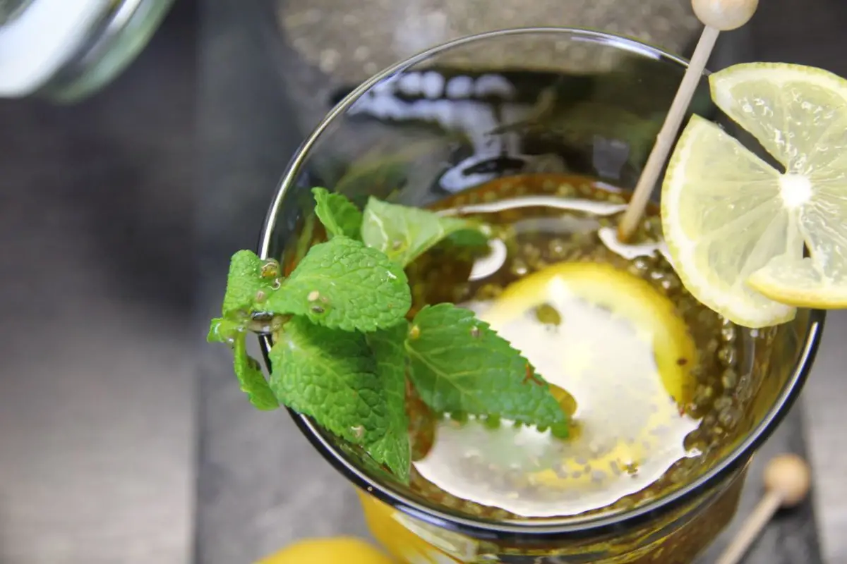Basilikumsamen Drink -Sharbate tokhme sharbati - Labsalliebe