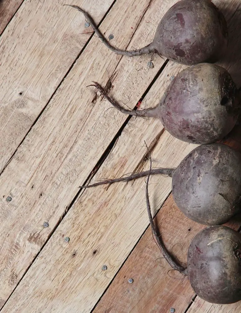 Borani-e Laboo - Rote Beete Joghurt Dip - Labsalliebe