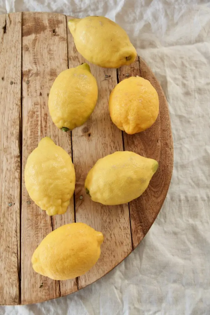 Mast-e Chekideh - Labneh - Labsalliebe