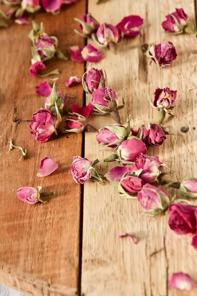 Gosh-e Fil - Knusprige Elefantenohren für Nowrooz oder Fasching ...