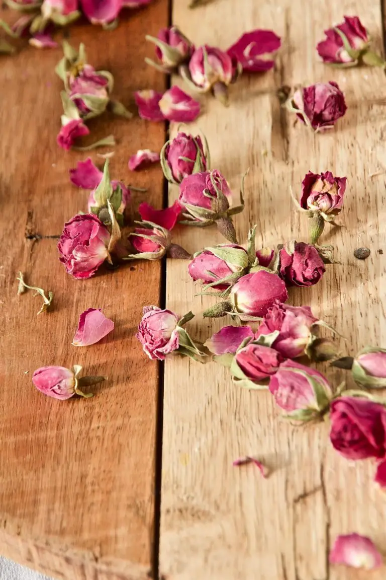 Gosh-e Fil - Knusprige Elefantenohren für Nowrooz oder Fasching ...