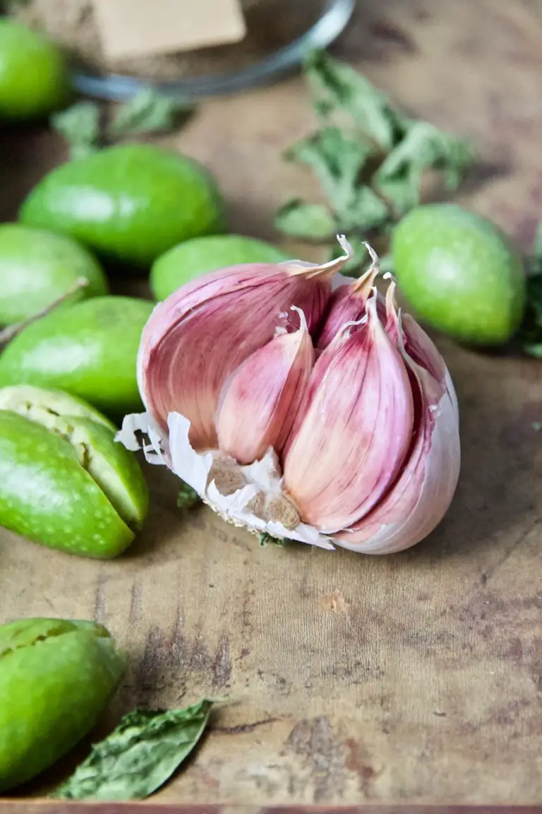 Zeytoon Parvardeh - Marinierte Oliven nach persischer Art - Labsalliebe