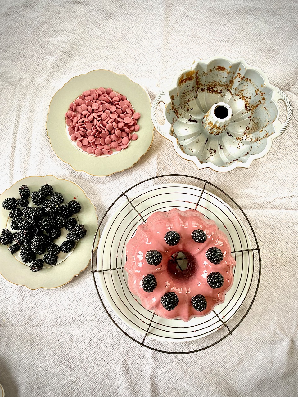 Schokoladiger Kakao-Guglhupf mit Ruby - Labsalliebe